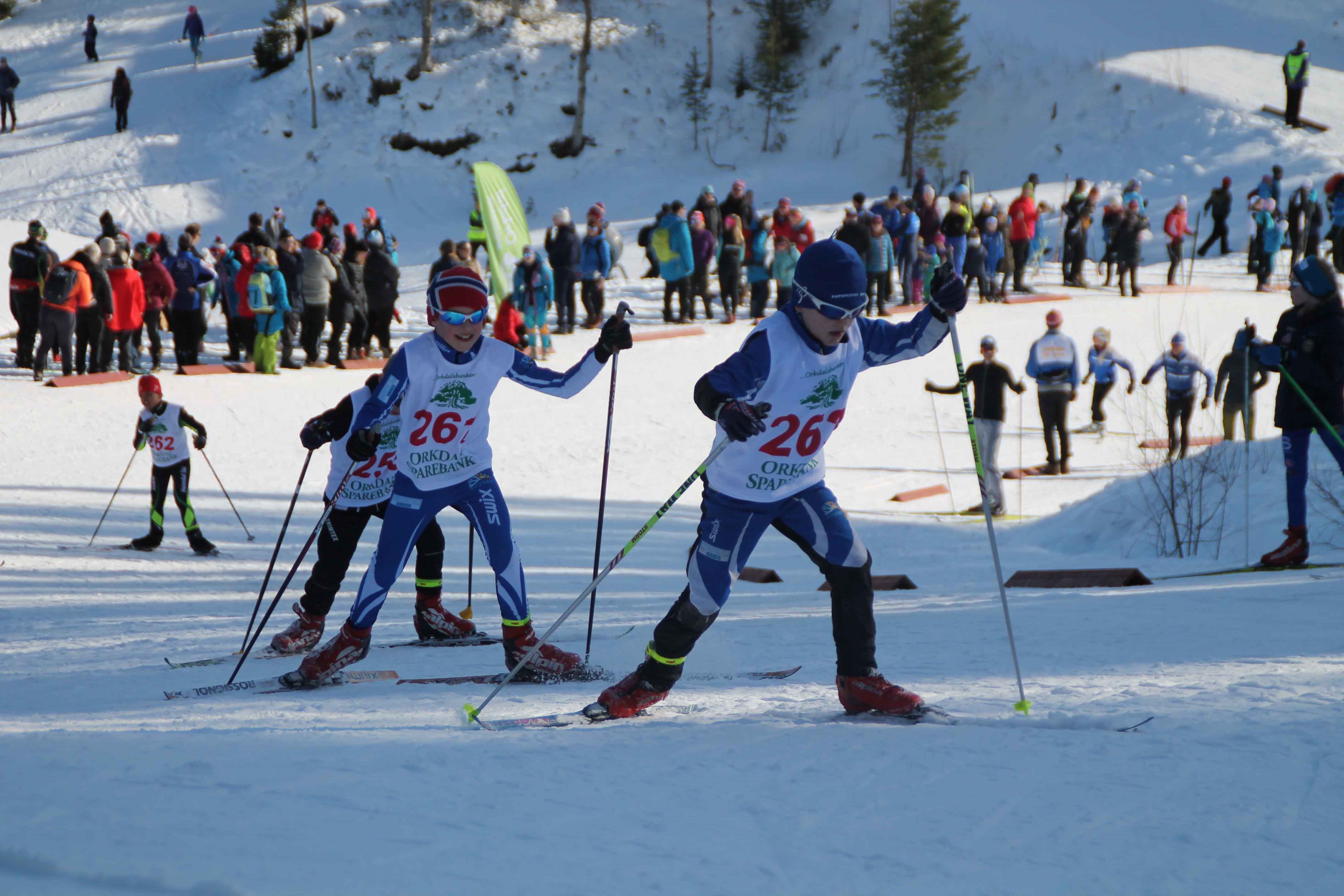 Trøndelag Idrettskrets